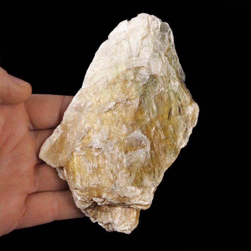 MUSKOWIT ŻÓŁTY (ZŁOTY) - 120 mm - BRAZYLIA • cena, oryginał, unikat ...